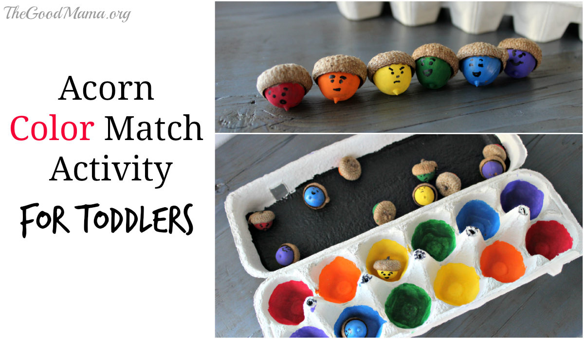 Acorn Color Match Activity for Toddlers - The Good Mama
