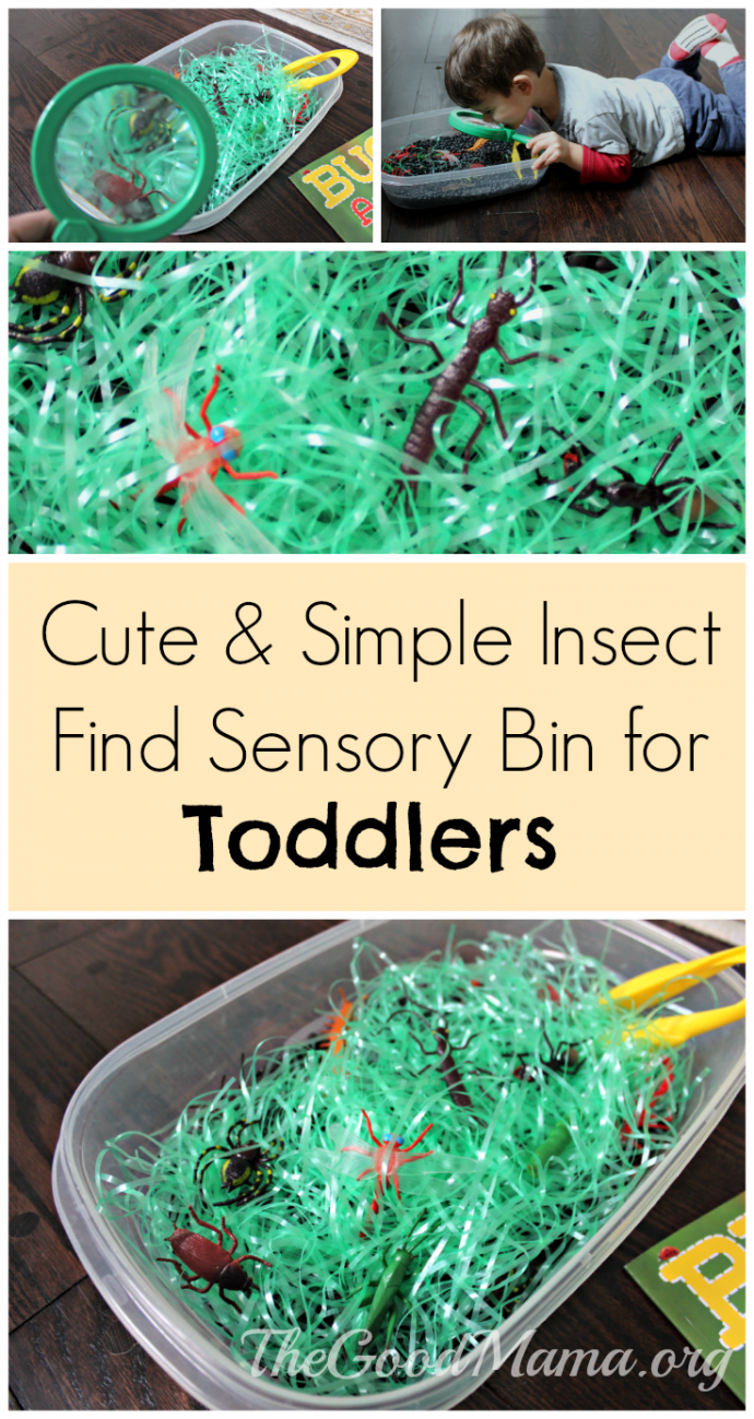 Cute & Simple Insect Find Sensory Bin - The Good Mama