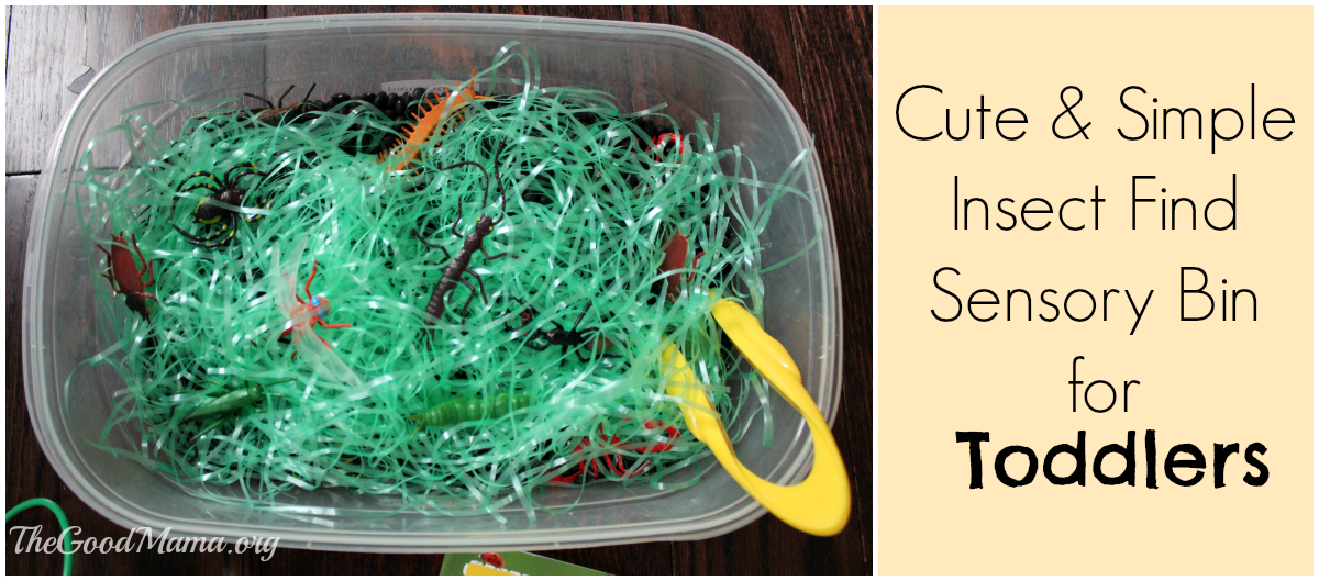 Cute & Simple Insect Find Sensory Bin - The Good Mama