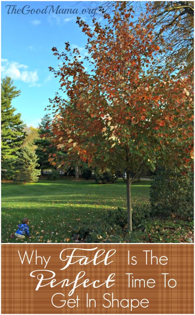 Why Fall Is the Perfect Time to Get Into Shape - The Good Mama