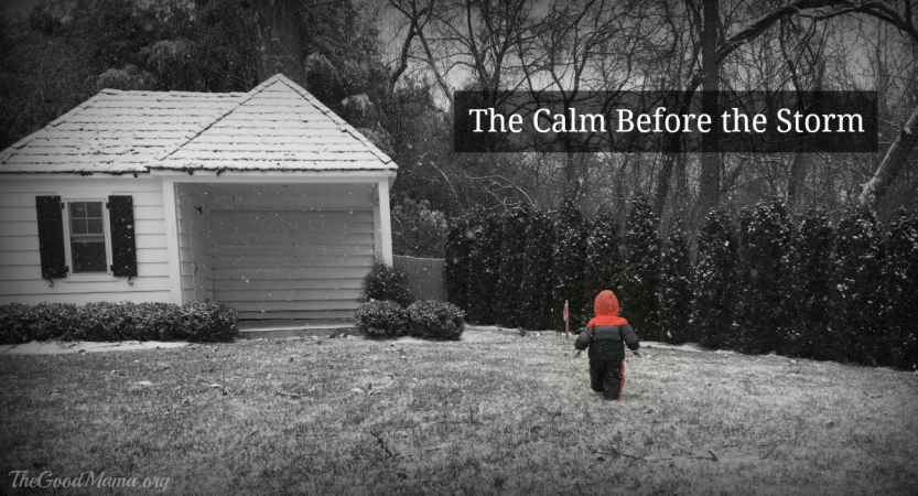 The Calm Before the Storm - The Good Mama