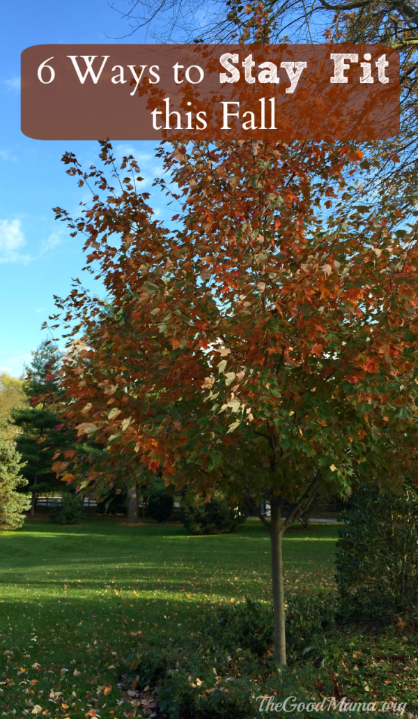 6 Ways to Stay Fit this Fall - The Good Mama