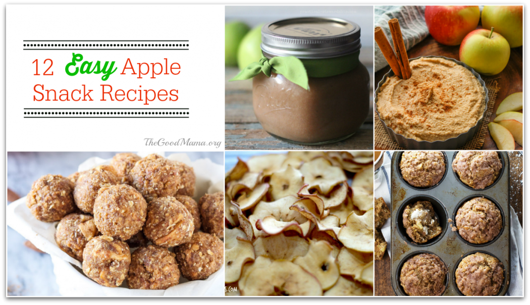 12 Easy Apple Snack Recipes - The Good Mama