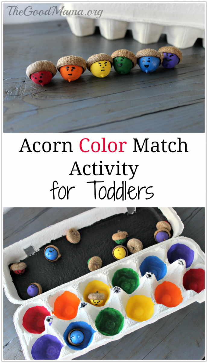Acorn Color Match Activity for Toddlers - The Good Mama